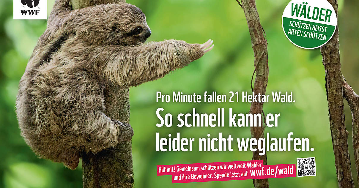 Freianzeigen Wald | WWF