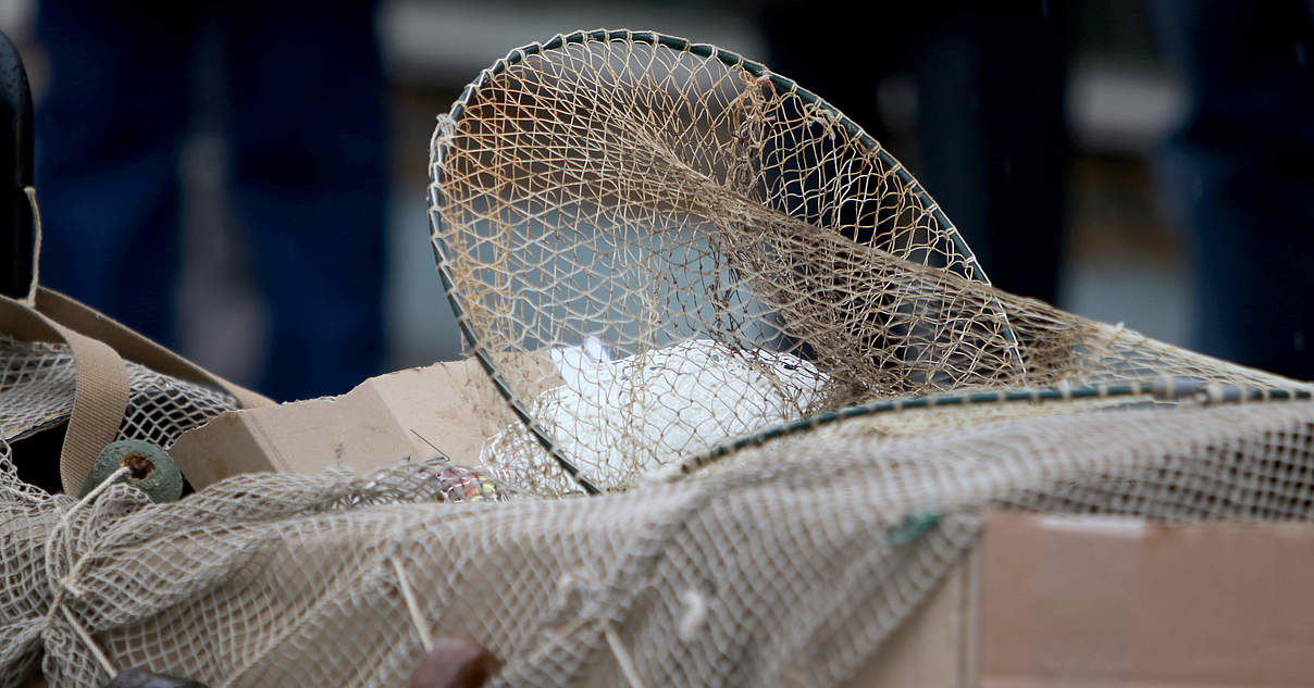 Nachhaltige Fischerei | WWF