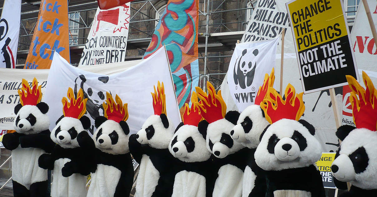 Arbeiten beim WWF | WWF