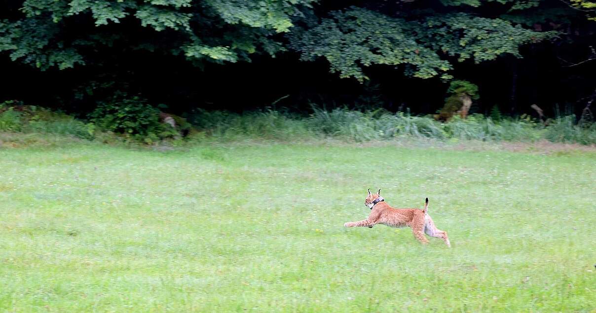 Sex boker got directions of the building opposite her and
