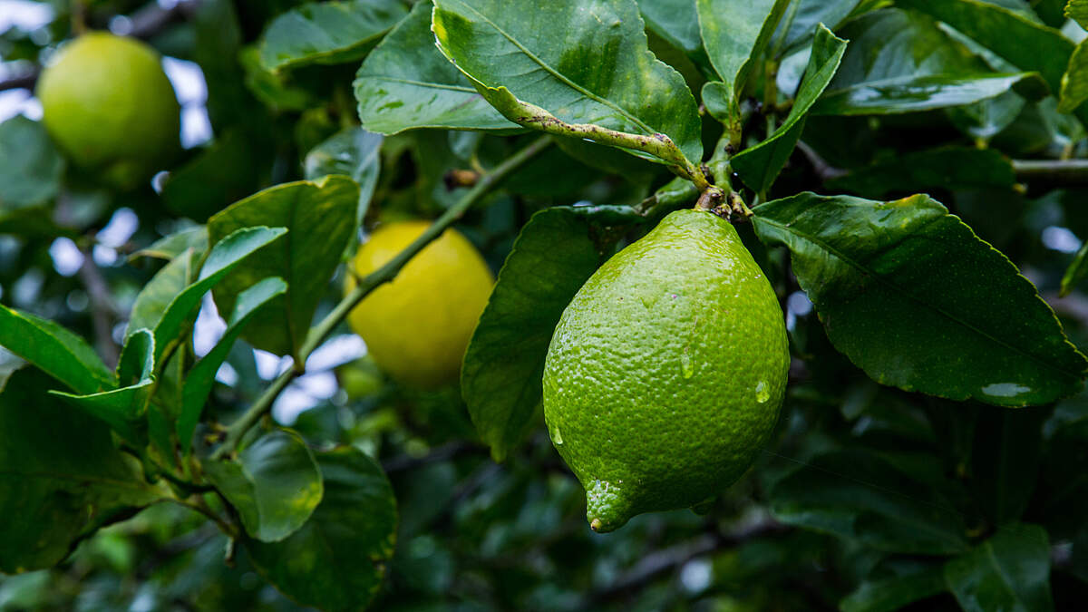 Jahresbericht 2023/2024