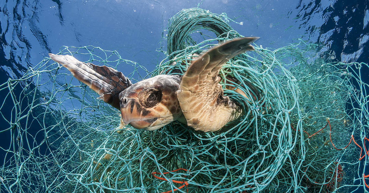 Lautlose Gefahr: Geisternetze im Mittelmeer | WWF