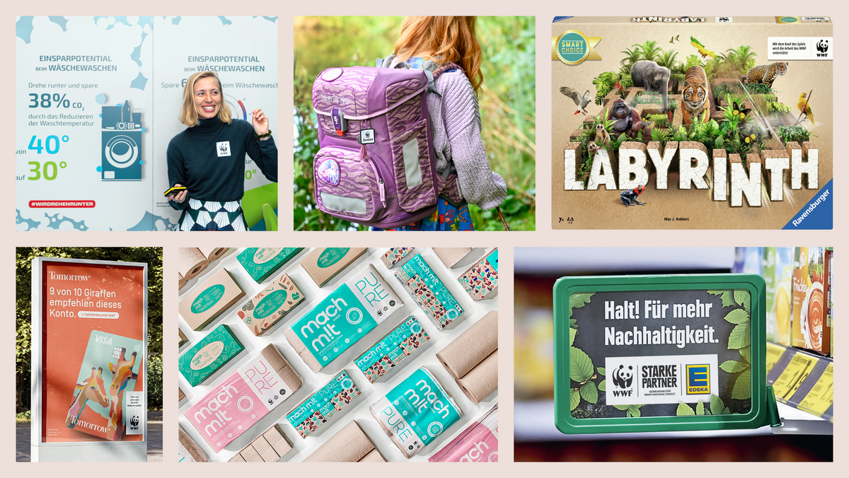 Unternehmensarbeit des WWF 2023/2024