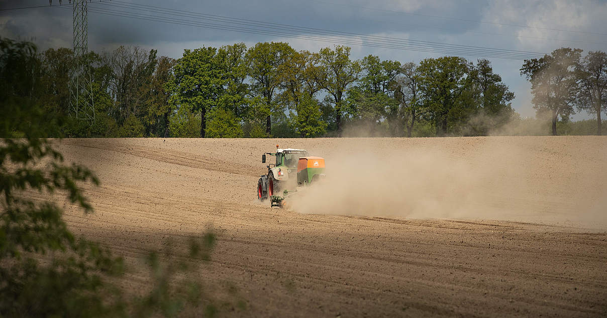 Landwirtschaft braucht Vielfalt bei der Eigentumsstruktur wie Vielfalt ... Landwirtschaft braucht Vielfalt bei der Eigentumsstruktur wie Vielfalt ...