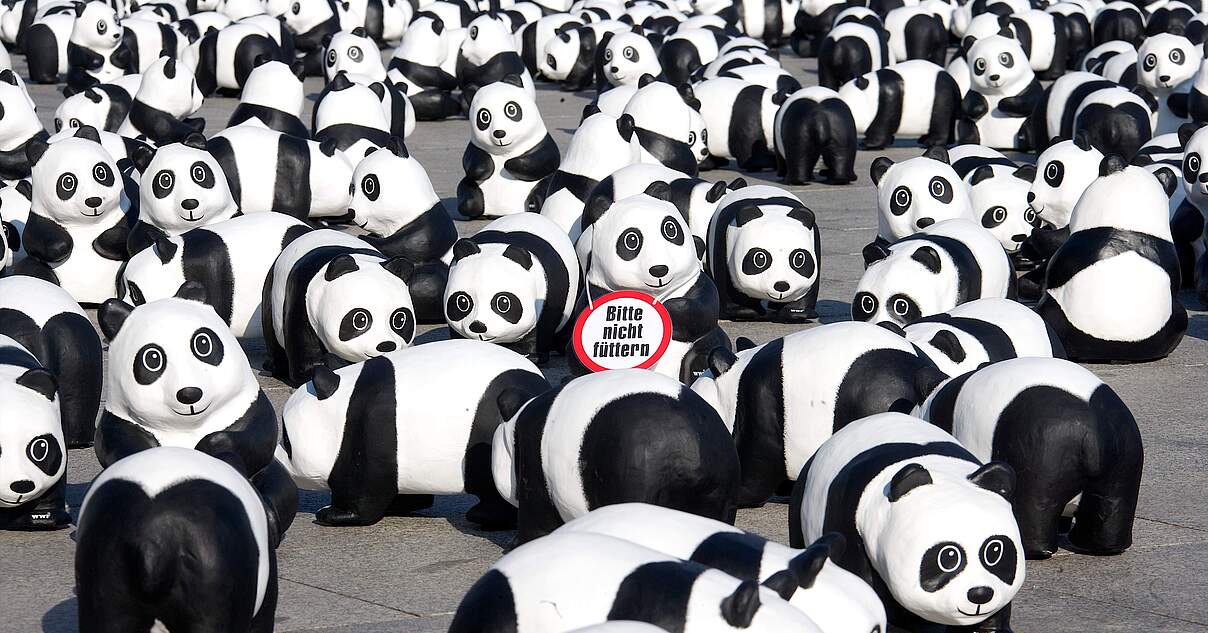 WWF-Struktur