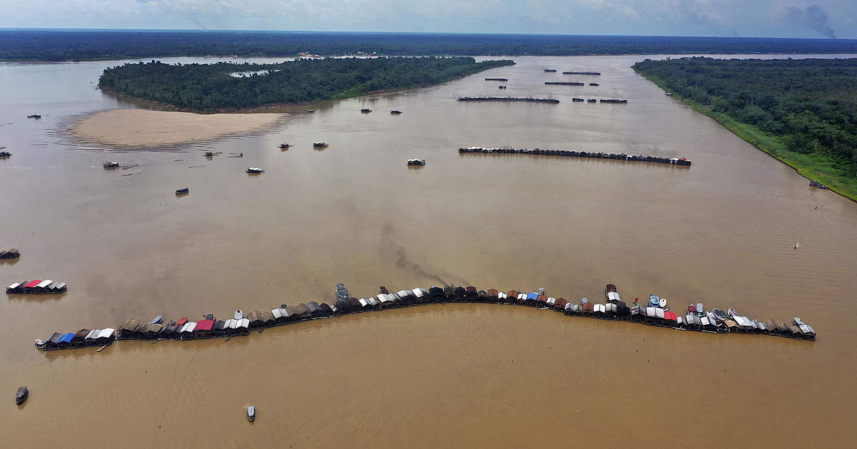 Das giftige Gold des Amazonas | WWF