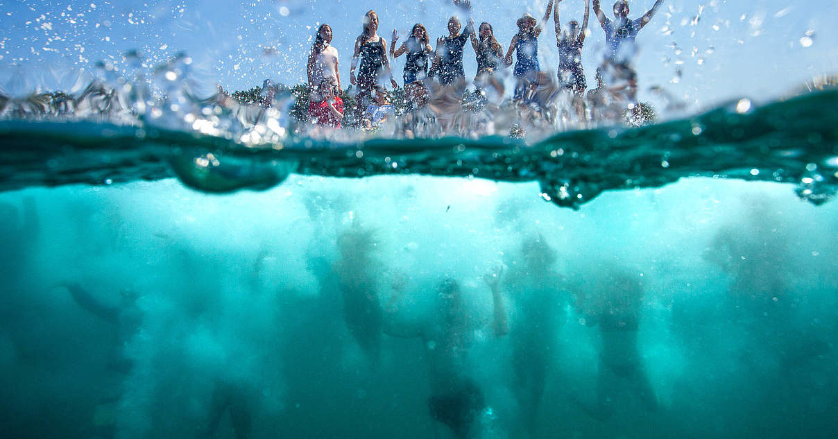 Werden Sie aktiv und schützen Sie die Natur mit uns! | WWF