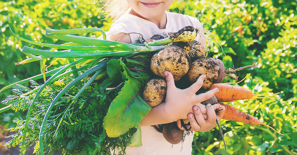 Tipps für den Garten