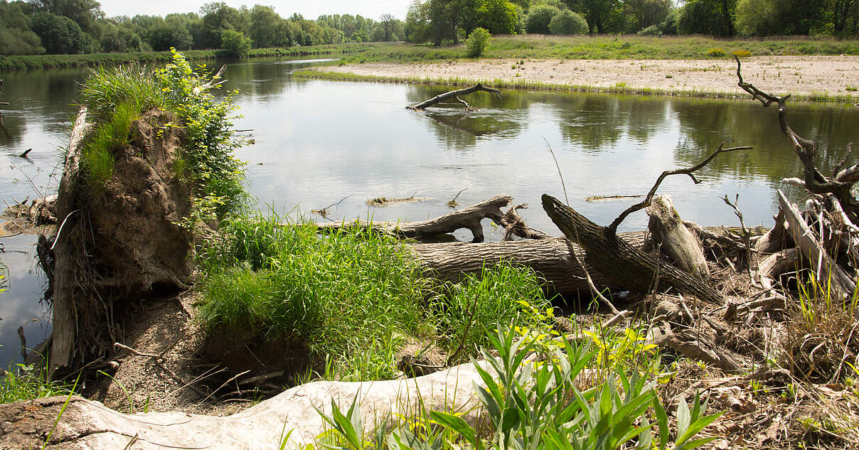 Forschung an der wilden Mulde