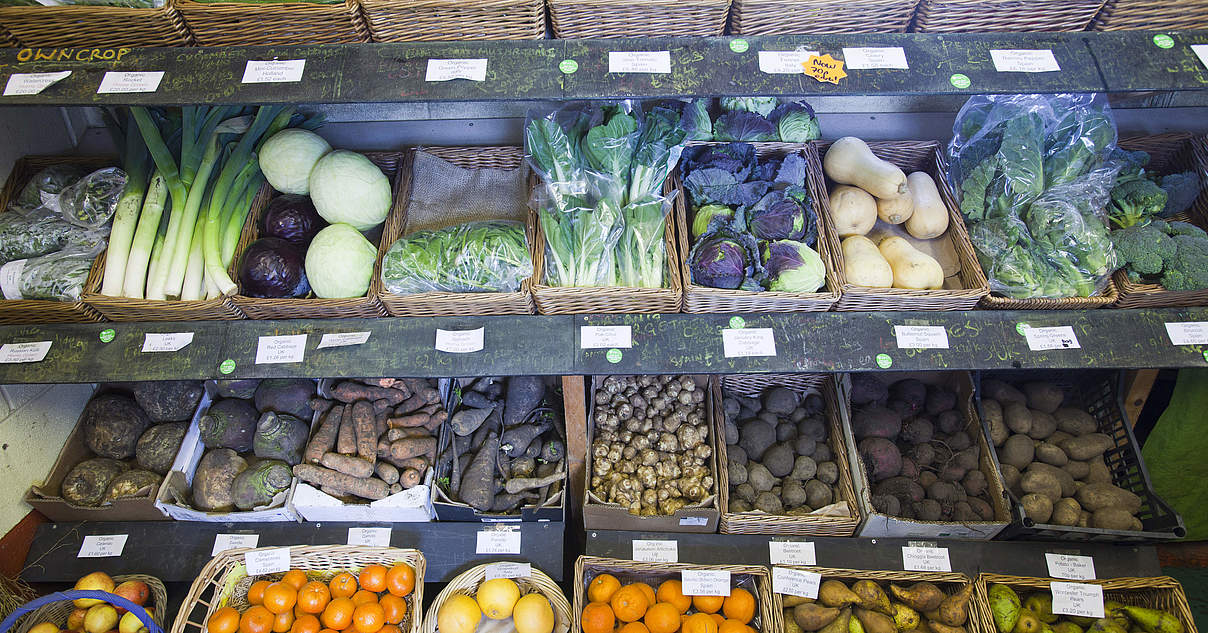 Ernährung & Konsum: Nachhaltigere Lebensweisen | WWF