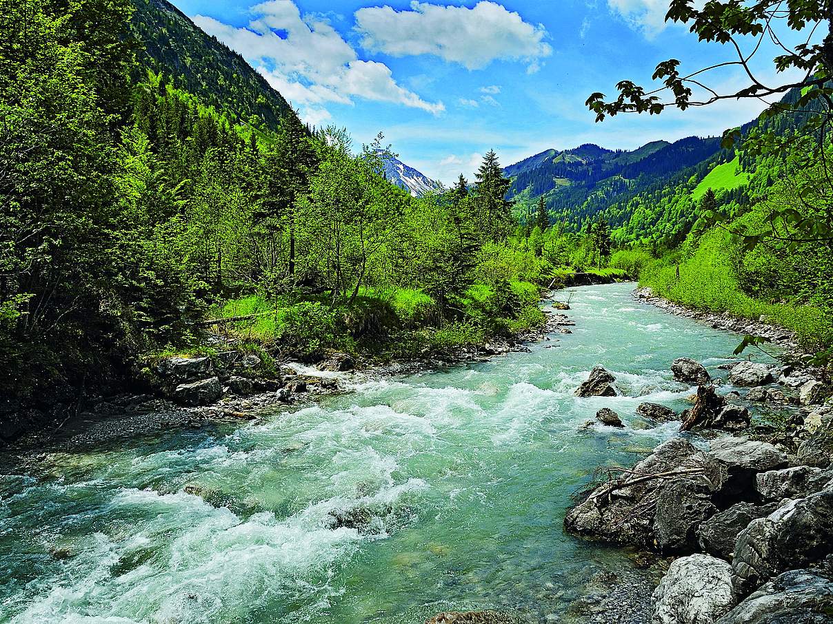 P&G und WWF: Gemeinsam für nachhaltigeres Waschen | WWF
