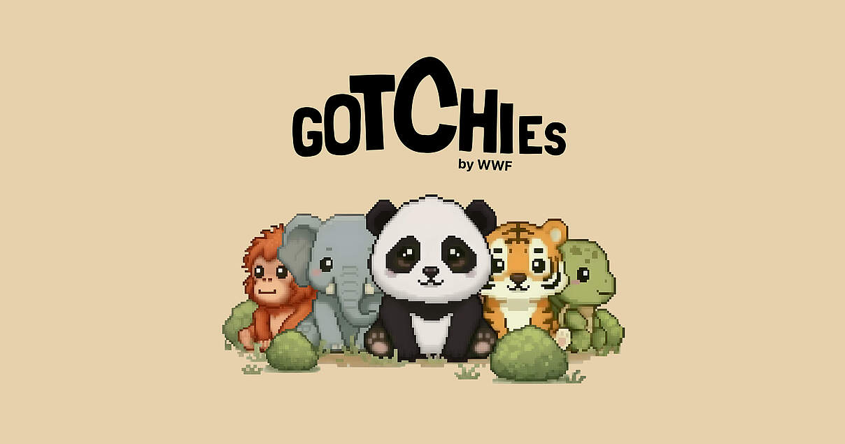 WWF Gotchies