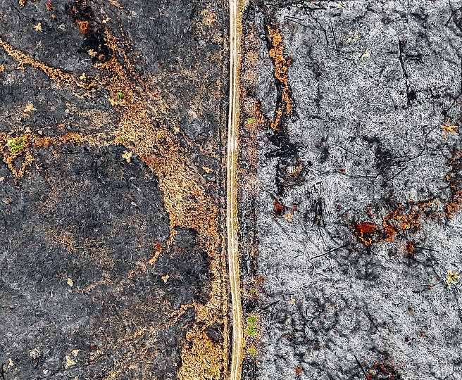 Bedrohungen des Amazonas: Vor dem Kollaps?