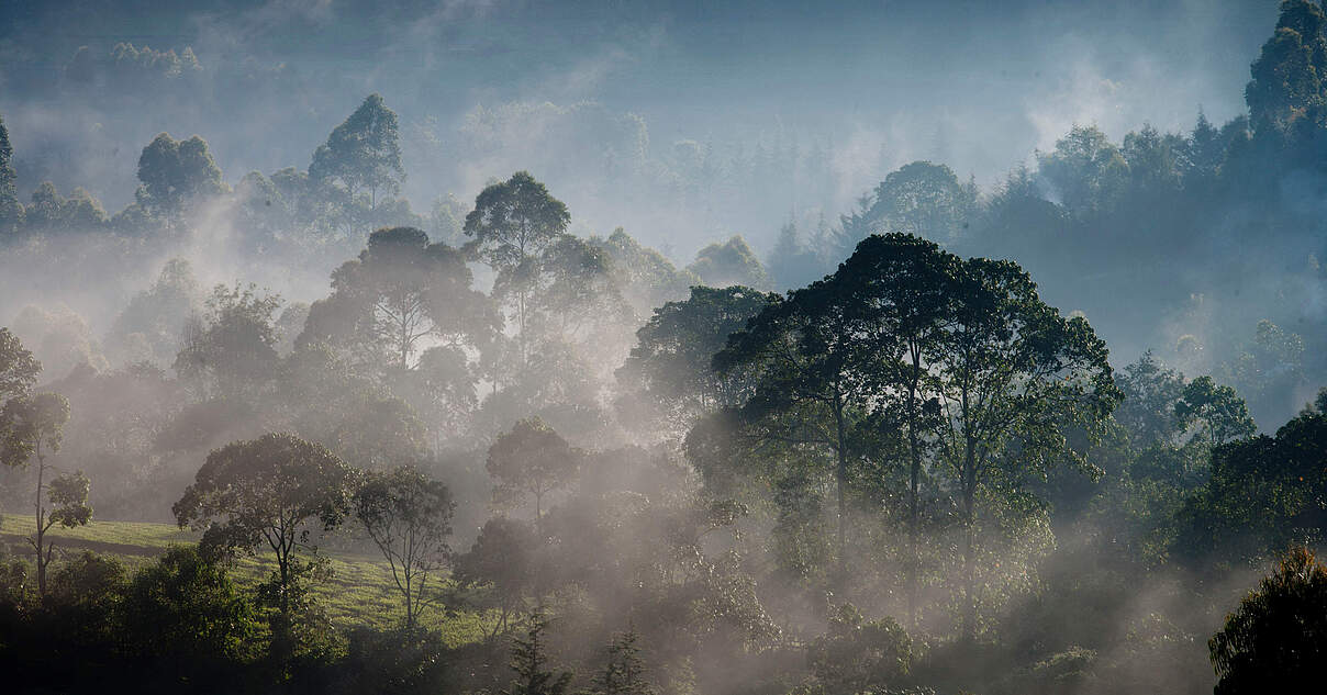 WWF Naturschutzerfolge 2021