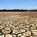 Die große Dürre | WWF