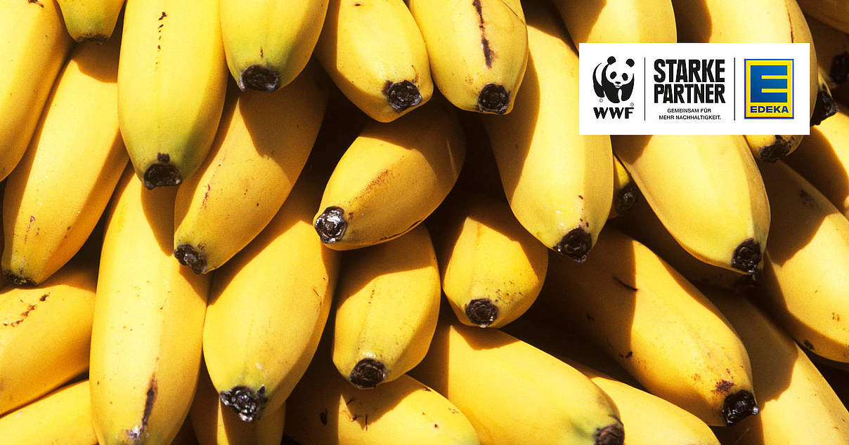 EDEKA und Bananen | WWF